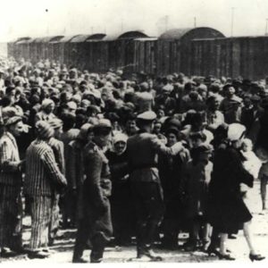 Holocaust Memorial Day Trust | Wiener Library – Life in the camps