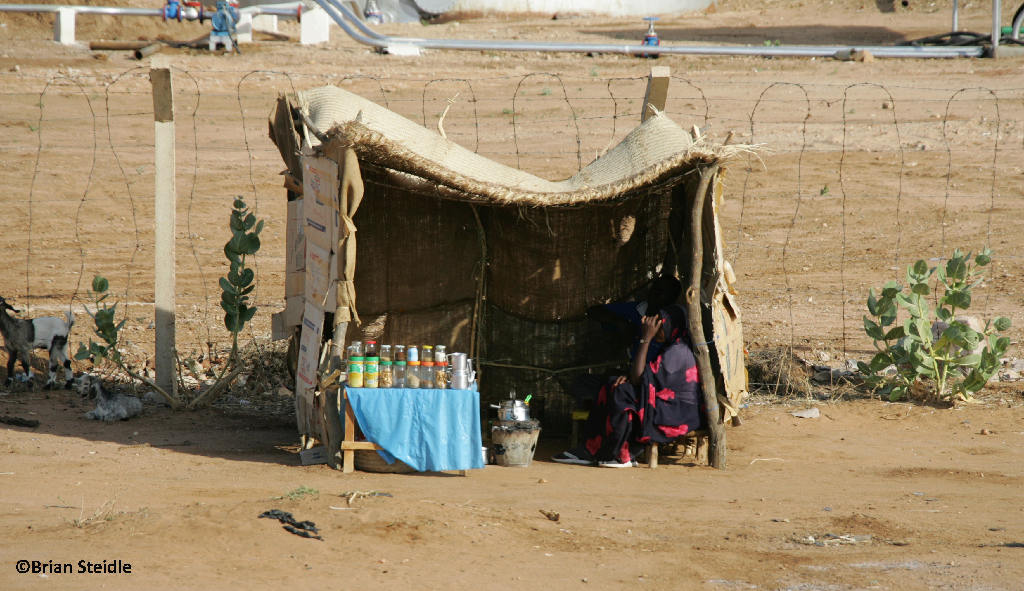 Holocaust Memorial Day Trust | Darfur by Brian Steidle