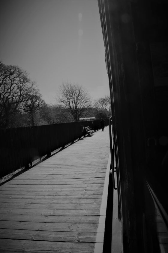 Holocaust Memorial Day Trust | One Day Photography Exhibition